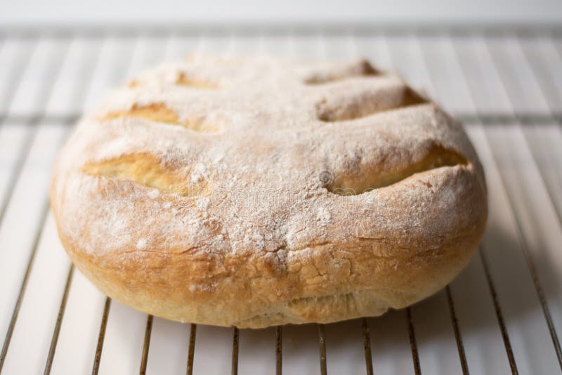 Homemade Sourdough Bread with a Leaf Pattern Scored on Stock Image ...
