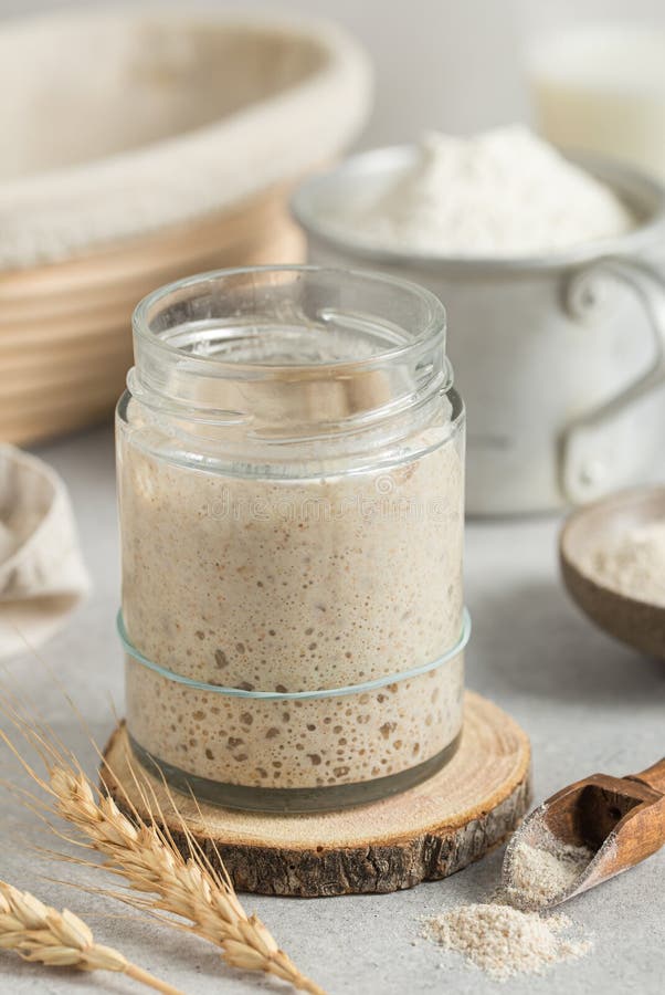 Homemade Sourdough Bread Starter Stock Photo - Image of cuisine ...