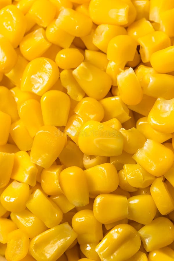 Homemade Steamed Sweet Corn Stock Image - Image of background, grain ...