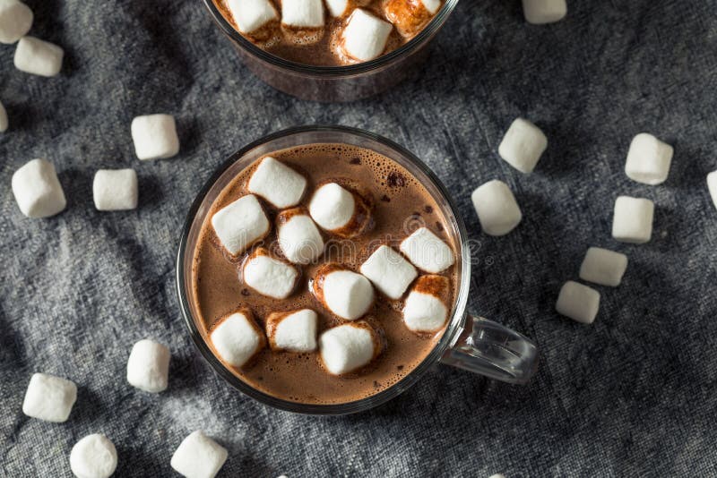 Homemade Warm Hot Chocolate Stock Photo - Image of beverage, food ...