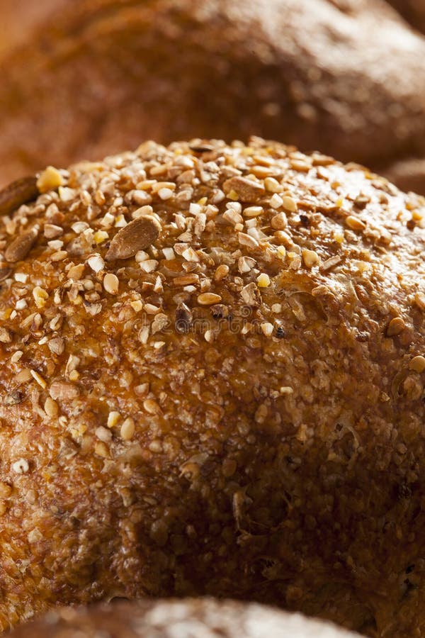 Homemade Whole Grain Dinner Rolls Stock Image - Image of dinner, brown ...