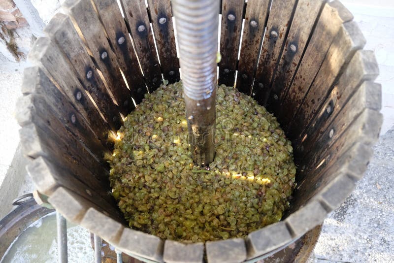 Homemade wine production stock photo. Image of vine - 100010586
