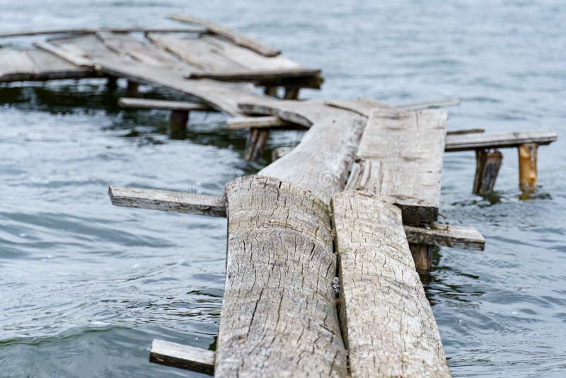 Homemade River Diving Board Mounted on Tree Stump Stock Photo - Image ...