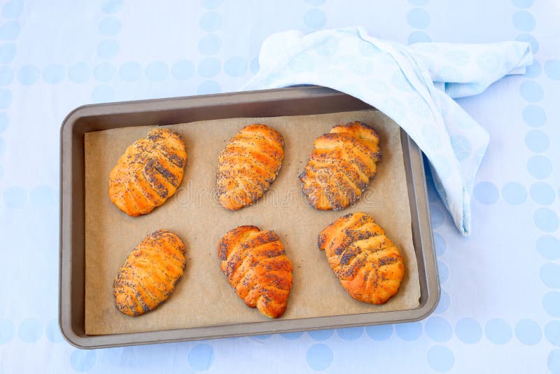 Cone rolls stock photo. Image of creative, rolls, recipe - 205724306