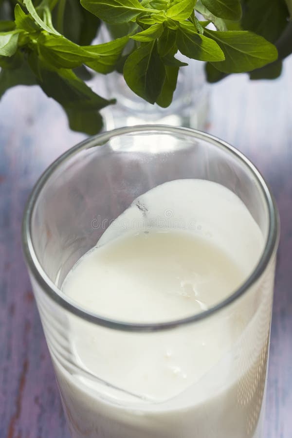 Homemade Yoghurt in Glass Beaker Stock Photo - Image of portion ...