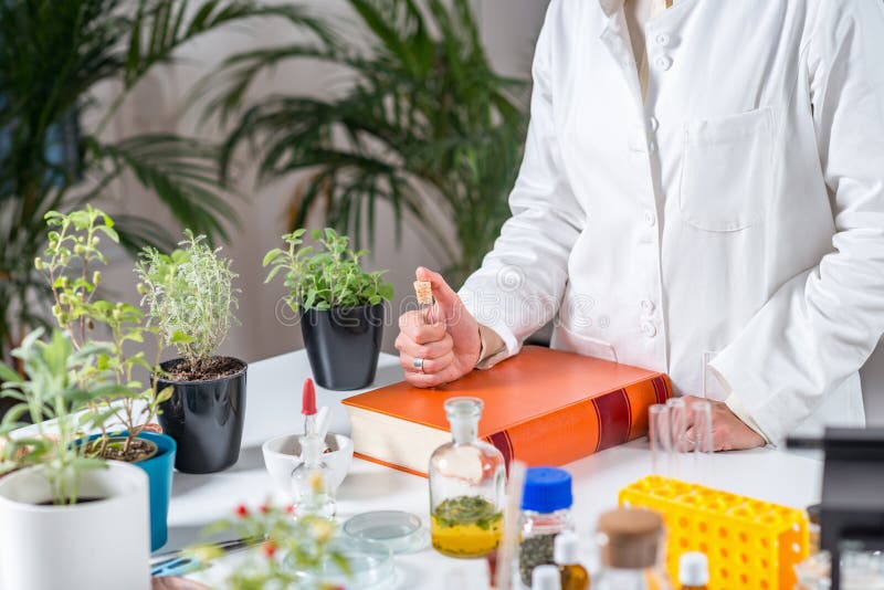 Homeopath. Homeopathic Remedy Preparation Stock Photo - Image of herb ...