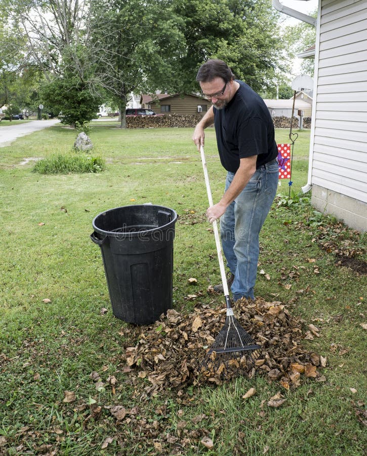 Homeowner Raking Leaves in the Front Yard Stock Photo - Image of fall ...