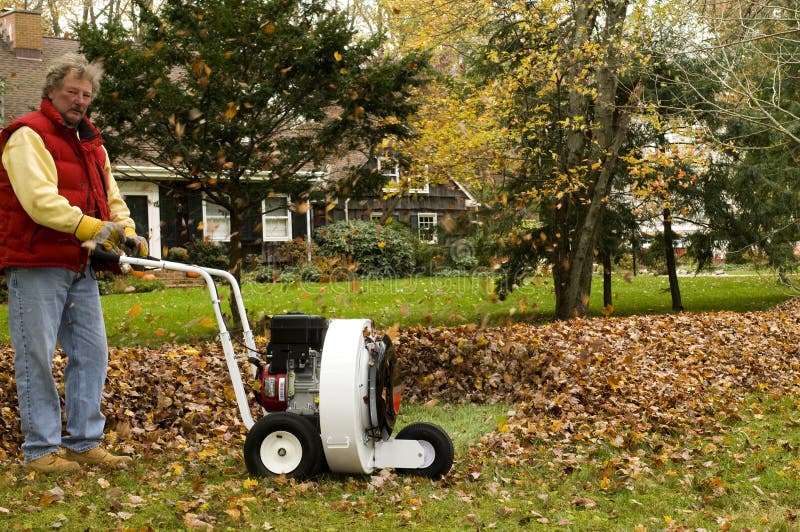 Homeowner Using Professional Leaf Blower Stock Photo - Image of ...
