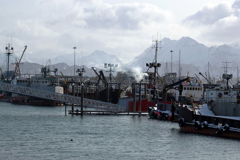 Homer boat harbor stock image. Image of industrial, commercial - 23830715