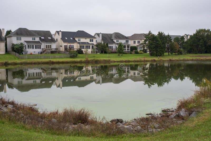 Homes around the pond stock photo. Image of tree, single - 128164596
