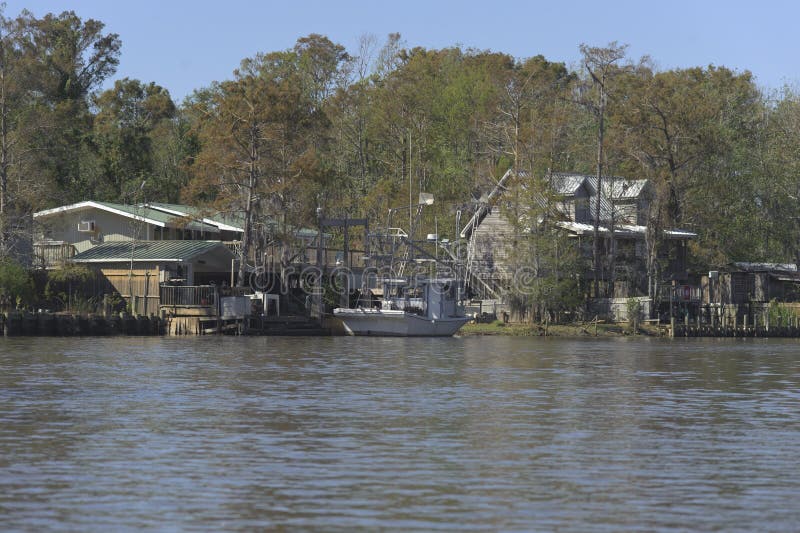 Homes in the swamp stock photo. Image of wetlands, natural - 28432326