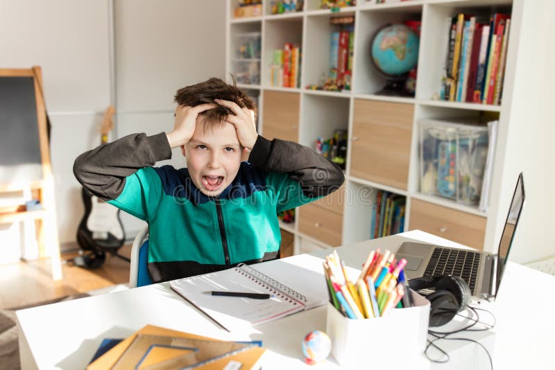 Homeschooled Boy Under Stress Stock Photo - Image of home, laptop ...