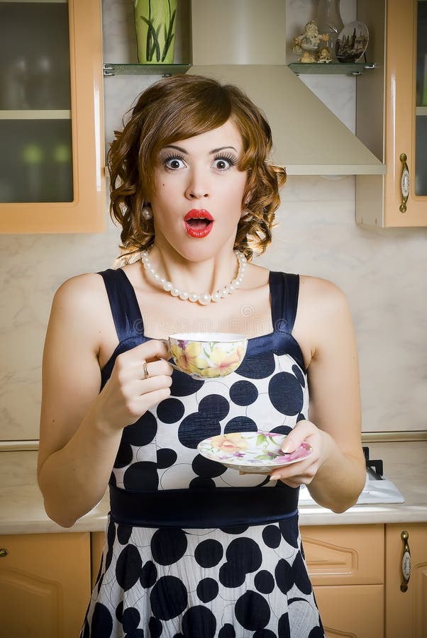 Homemaker stock image. Image of hostess, homemaker, housewife - 12686853