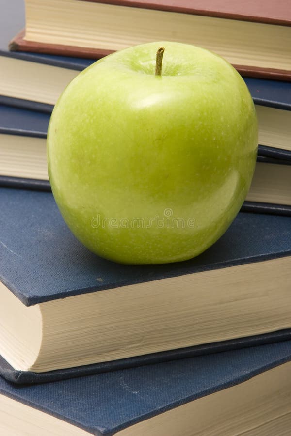 Homework stock photo. Image of granny, learn, education - 3530176