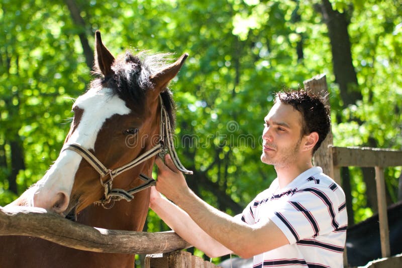 Homme avec le cheval photo stock. Image du tête, mammifère - 7009706