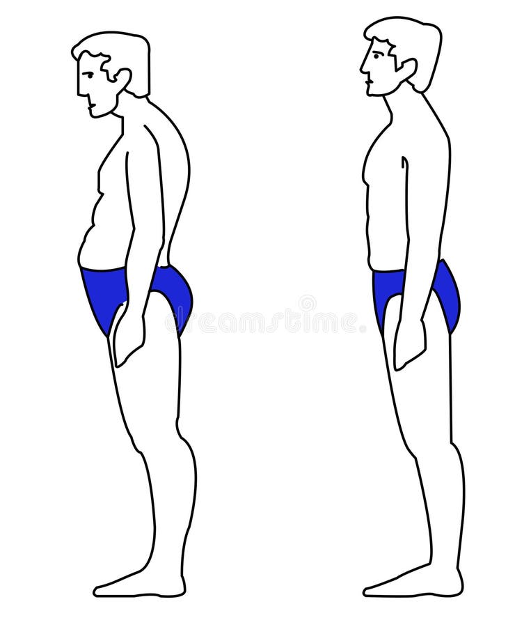 Homme correct de posture illustration de vecteur. Illustration du ...