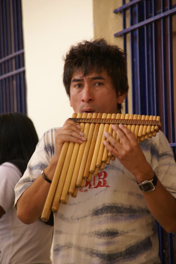 Homme Jouant Des Pipes De Carter Image éditorial - Image du chanson ...