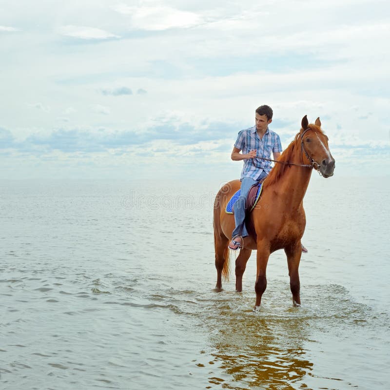 Homme sur le cheval photo stock. Image du animal, nature - 20682532