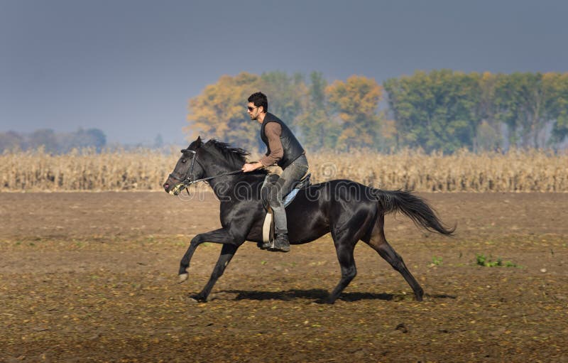 Homme sur le cheval photo stock. Image du village, cheval - 35538768
