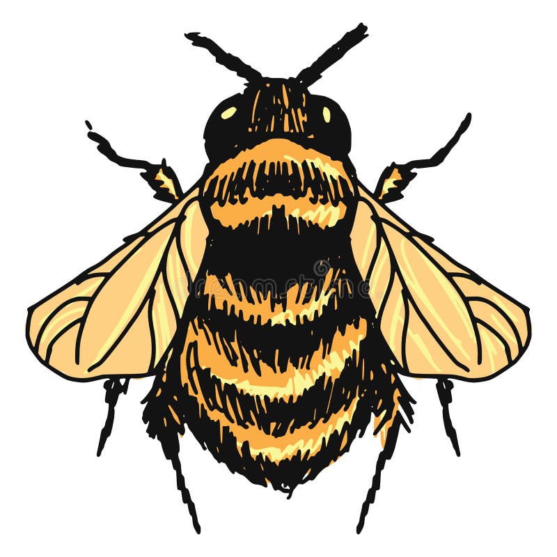 Hommel vector illustratie. Illustration of antenne, hommel - 17580366
