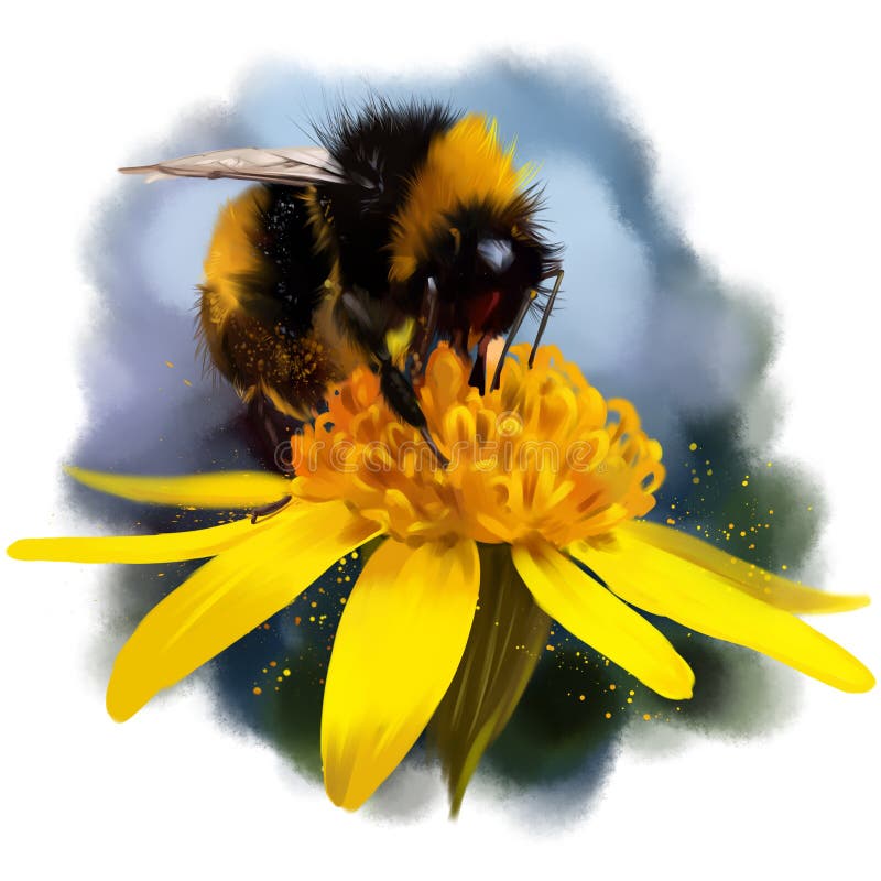 Hommel op een bloem stock illustratie. Illustration of waterkleur ...