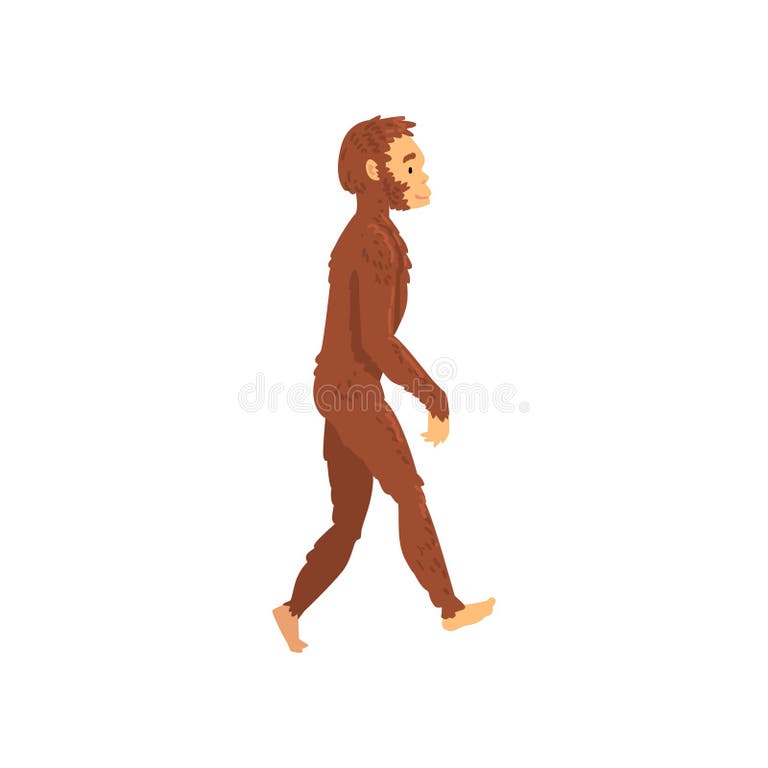 Evolutionary Process Stock Illustrations – 312 Evolutionary Process ...