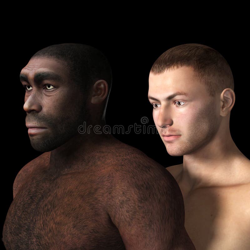 Human Evolution Illustration Stock Illustration - Illustration of form ...