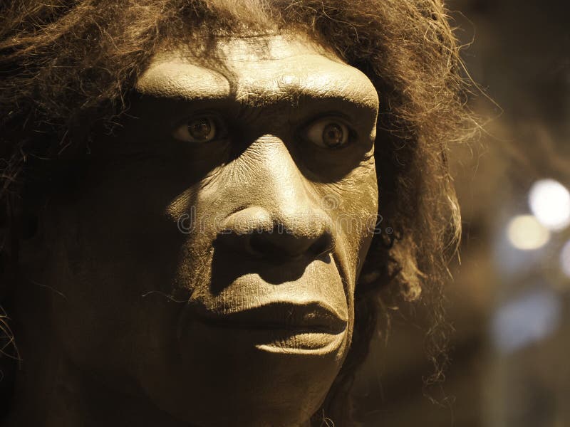 Homo Erectus Full Body