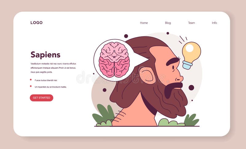Sapiens Brain Development, Grey Matter Mass Increasing. Stock Vector ...