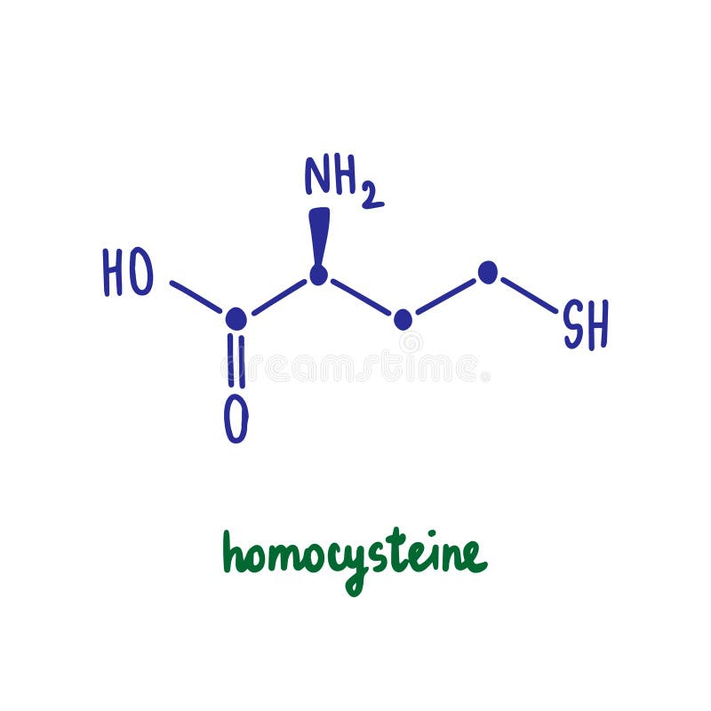 Homocysteine Hand Drawn Vector Formula Chemical Structure Lettering ...