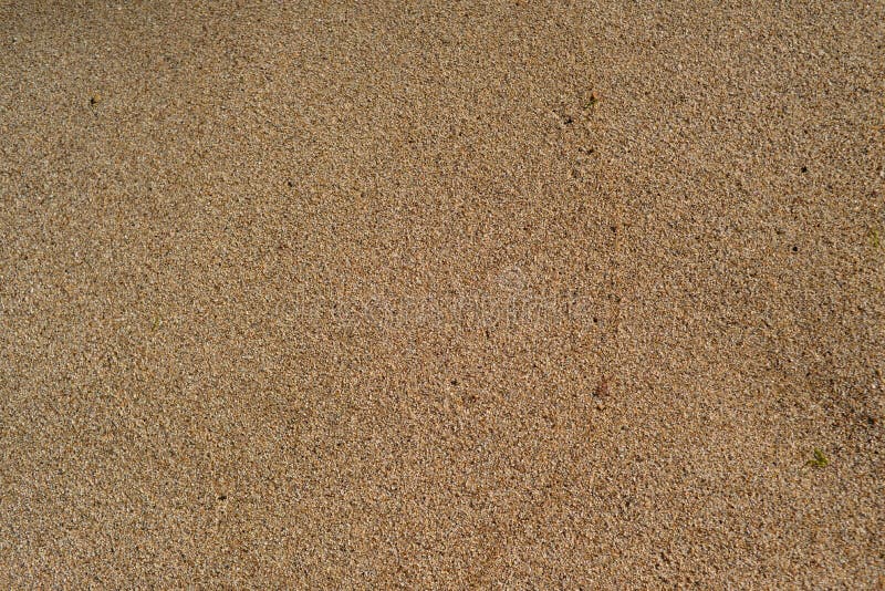 Homogeneous Background of Sea Sand Stock Image - Image of place, beach ...