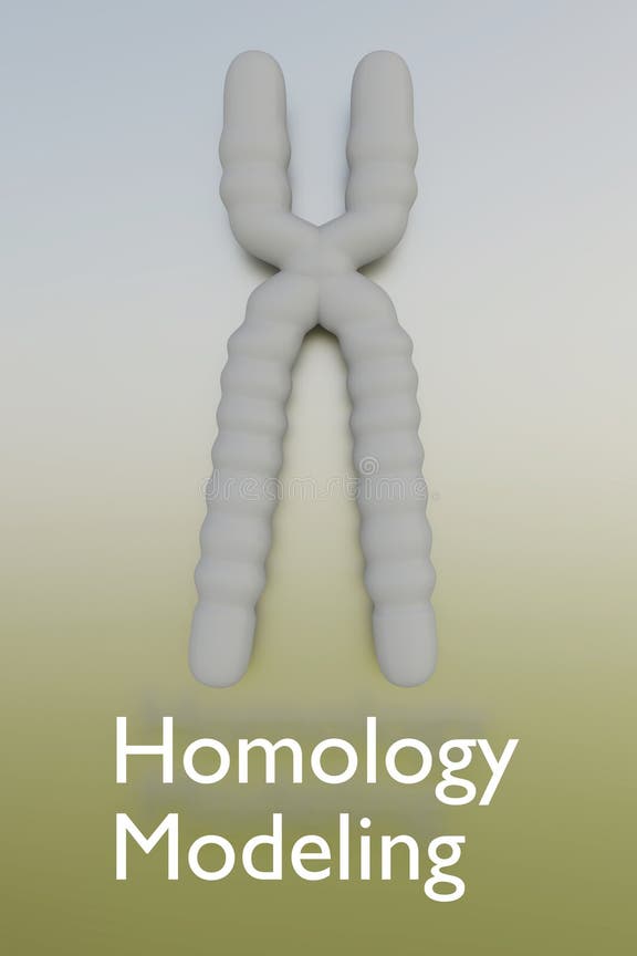Homology Modeling concept stock illustration. Illustration of double ...