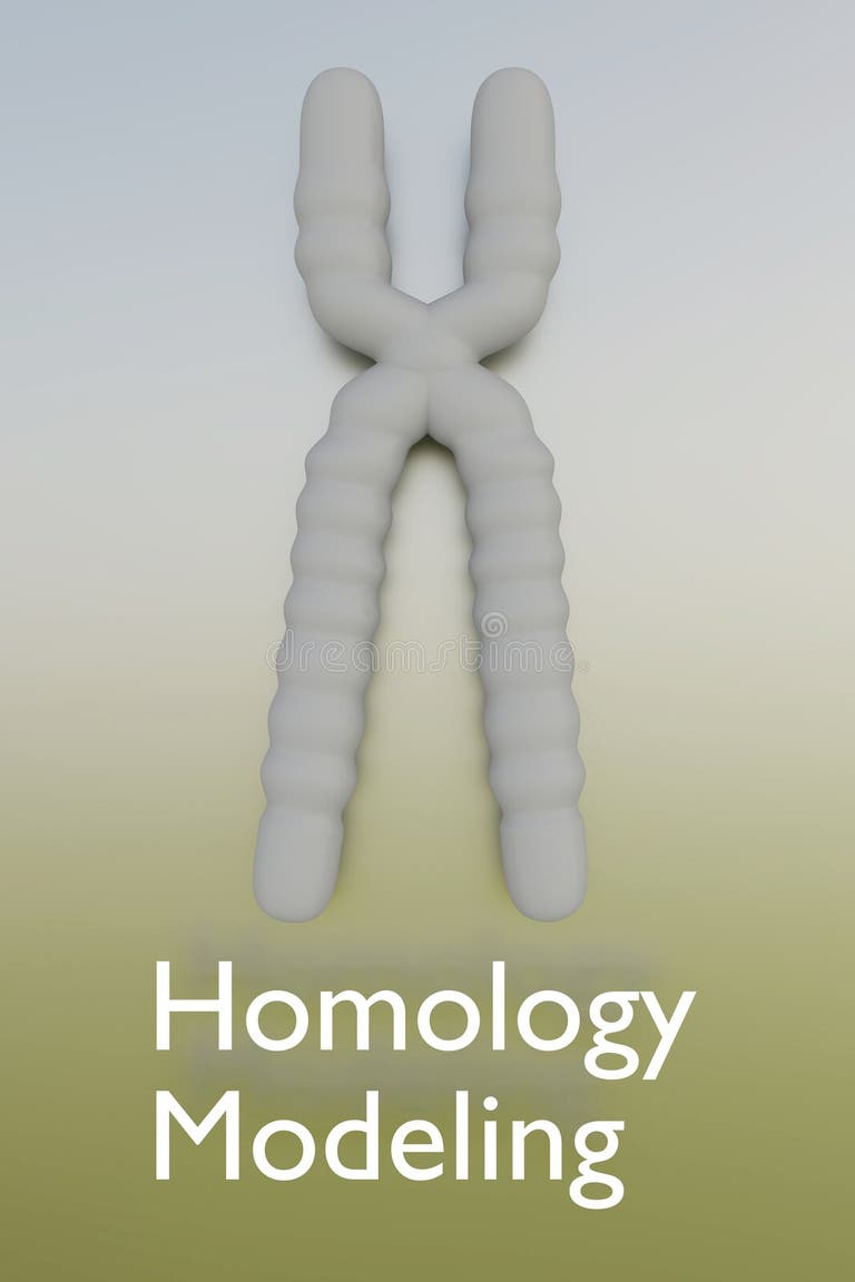 Modeling Script Stock Illustrations – 557 Modeling Script Stock ...