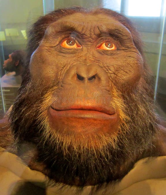 Homosapien editorial stock image. Image of washington - 56953959