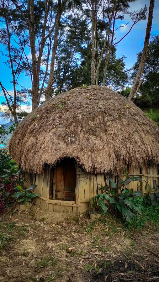 Honai stock photo. Image of landscape, tribes, indonesia - 266091272