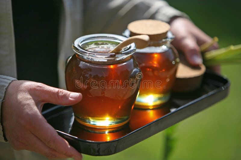Honey stock image. Image of honey, outside, gold, fresh - 8836139