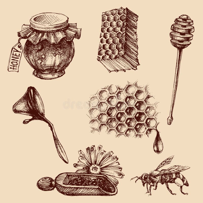 Honey and apiculture set stock vector. Illustration of insect - 75255007
