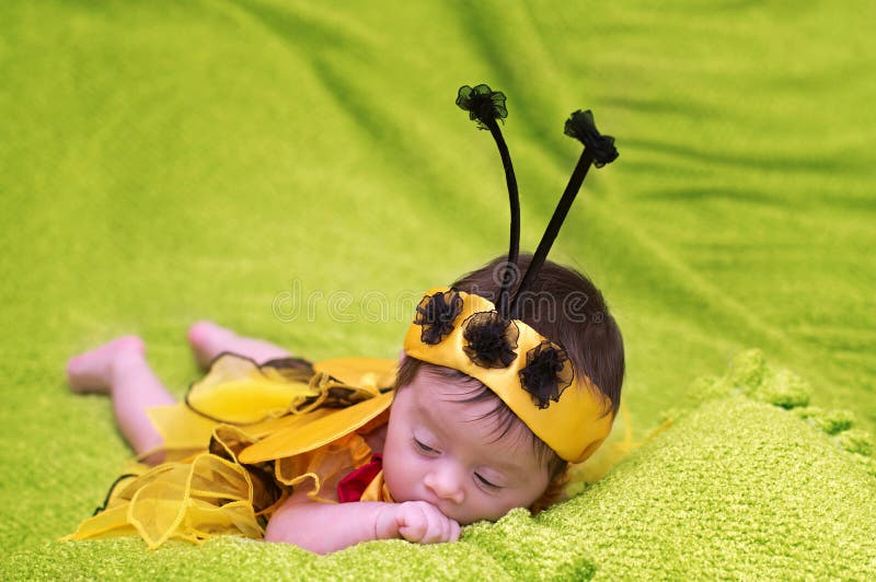 Honey Bee Baby photo stock. Image du costume, nourrisson - 38209866