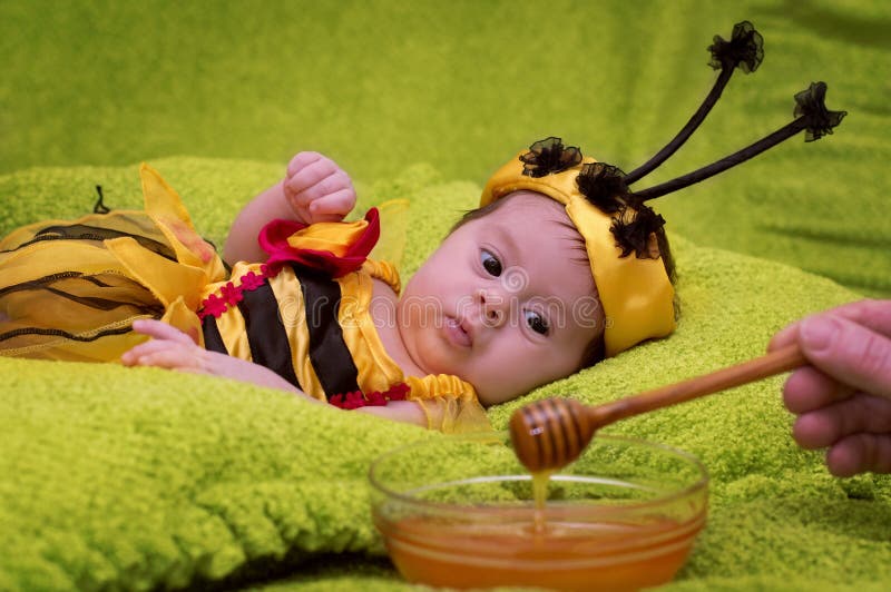 Honey Bee Baby stock photo. Image of infant, honey, black - 38209884