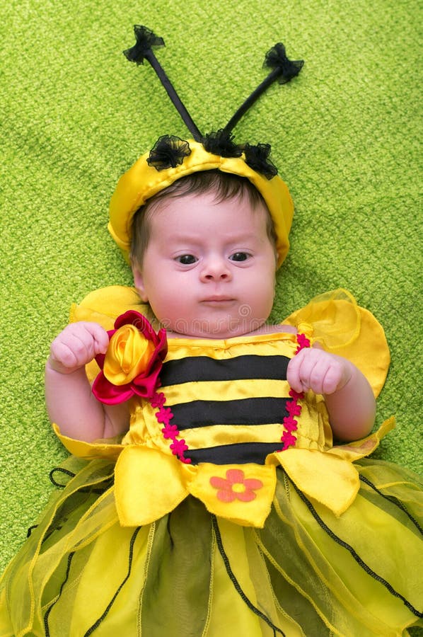 Honey Bee Baby stock photo. Image of lovely, bumblebee - 41802378