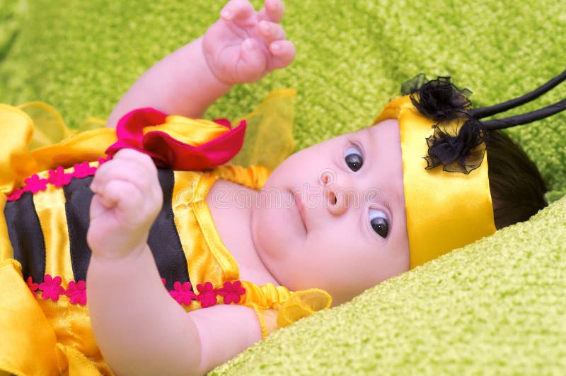 Honey Bee Baby stock photo. Image of honeycomb, insect - 40877764