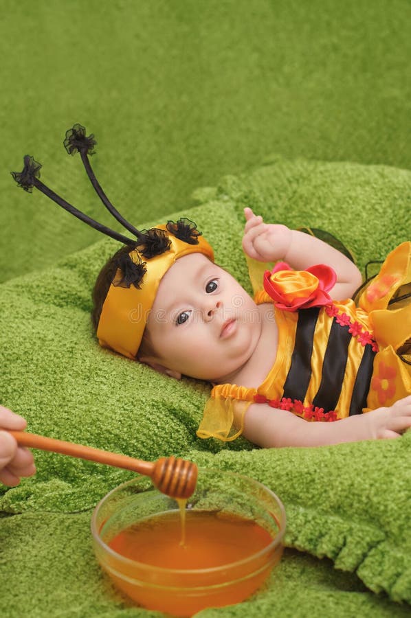 Honey Bee Baby stock photo. Image of lovely, bumblebee - 41802378