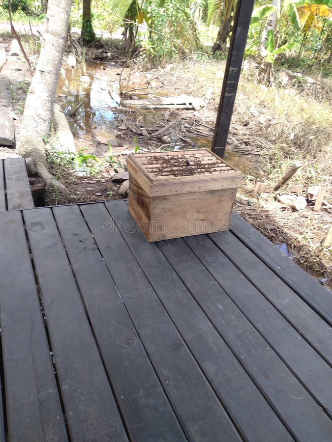 Honey bee cultivation box stock image. Image of house - 220321253
