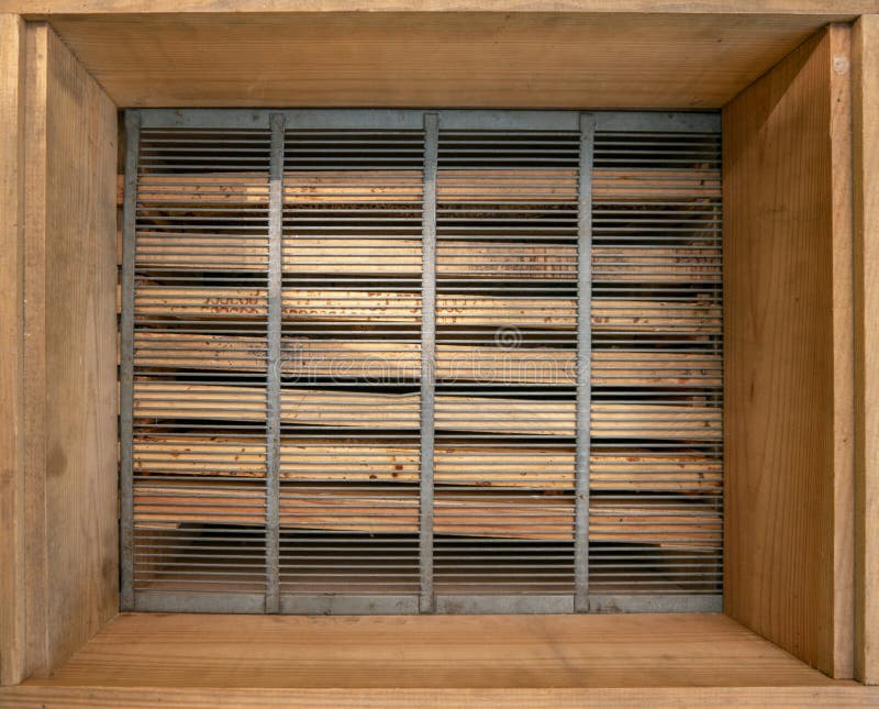 Honey Bee Empty Beehive Inside Top View Stock Photo - Image of pollen ...