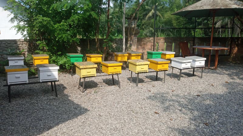 Honey Bee Farm in Magelang, Central Java Stock Image - Image of java ...