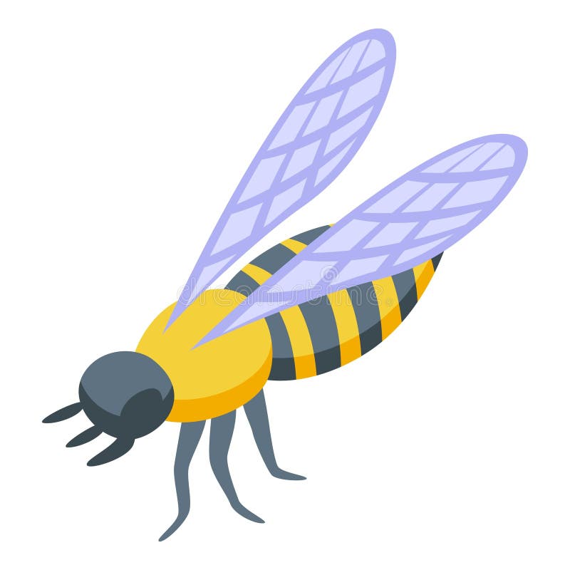Honey Bee Flying with Spread Wings Isometric View Stock Illustration ...