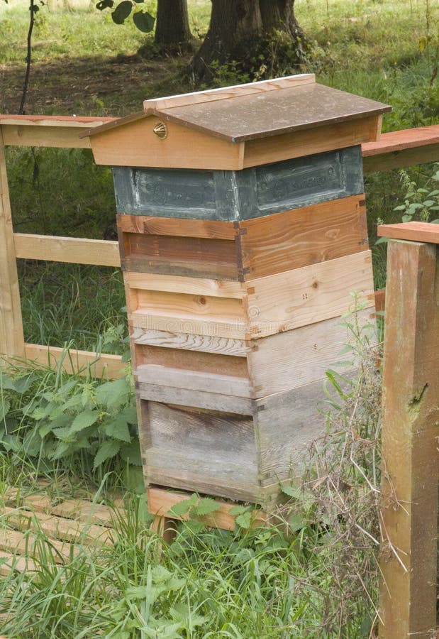 Honey Bee Home stock photo. Image of wood, beehive, home - 289259036