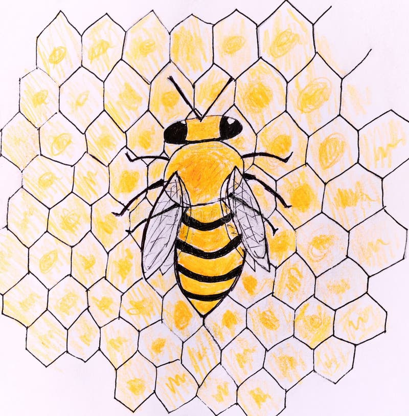 Honey Bee on honeycomb. stock illustration. Illustration of honey ...