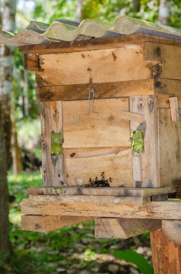 Apiary Made from Wooden Box for Horney Bee House in Tropical Natural ...