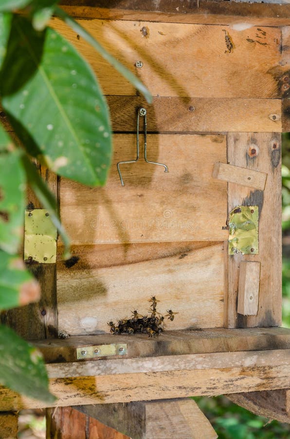 Apiary Made from Wooden Box for Horney Bee House in Tropical Natural Garden. Stock Image - Image ...